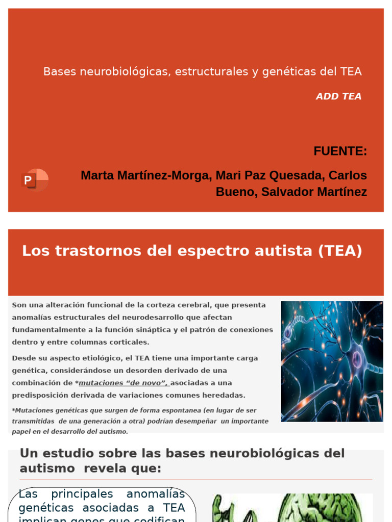 Neuro TEA | PDF | Autismo | Neuroplasticidad