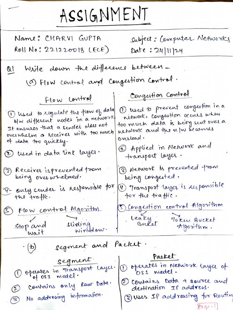 Comp Network Assignment | PDF