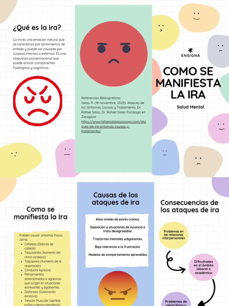 Folleto Del Manejo de La Ira | PDF | Ira | Las emociones