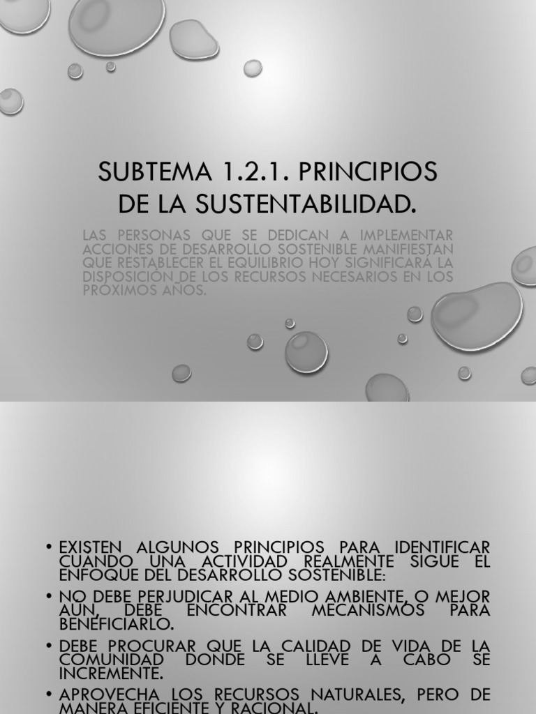 Principios de sustentabilidad | PDF | Sustentabilidad | Desarrollo sostenible