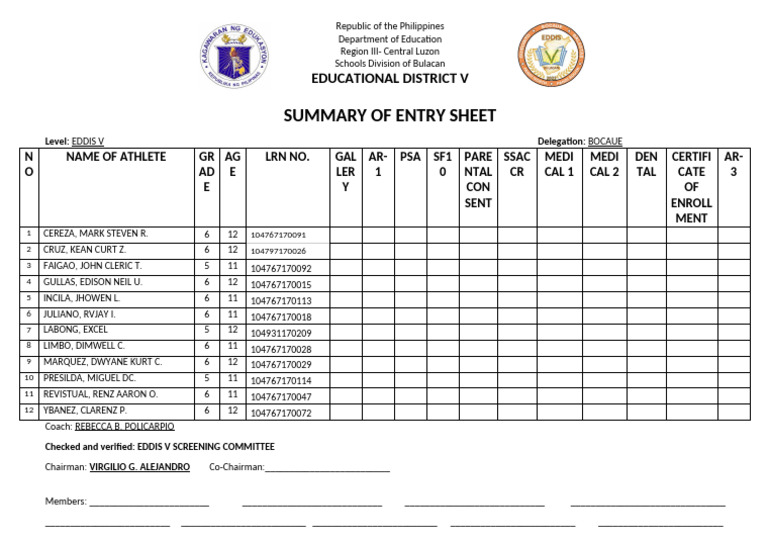 Summary Entry Sheet | PDF