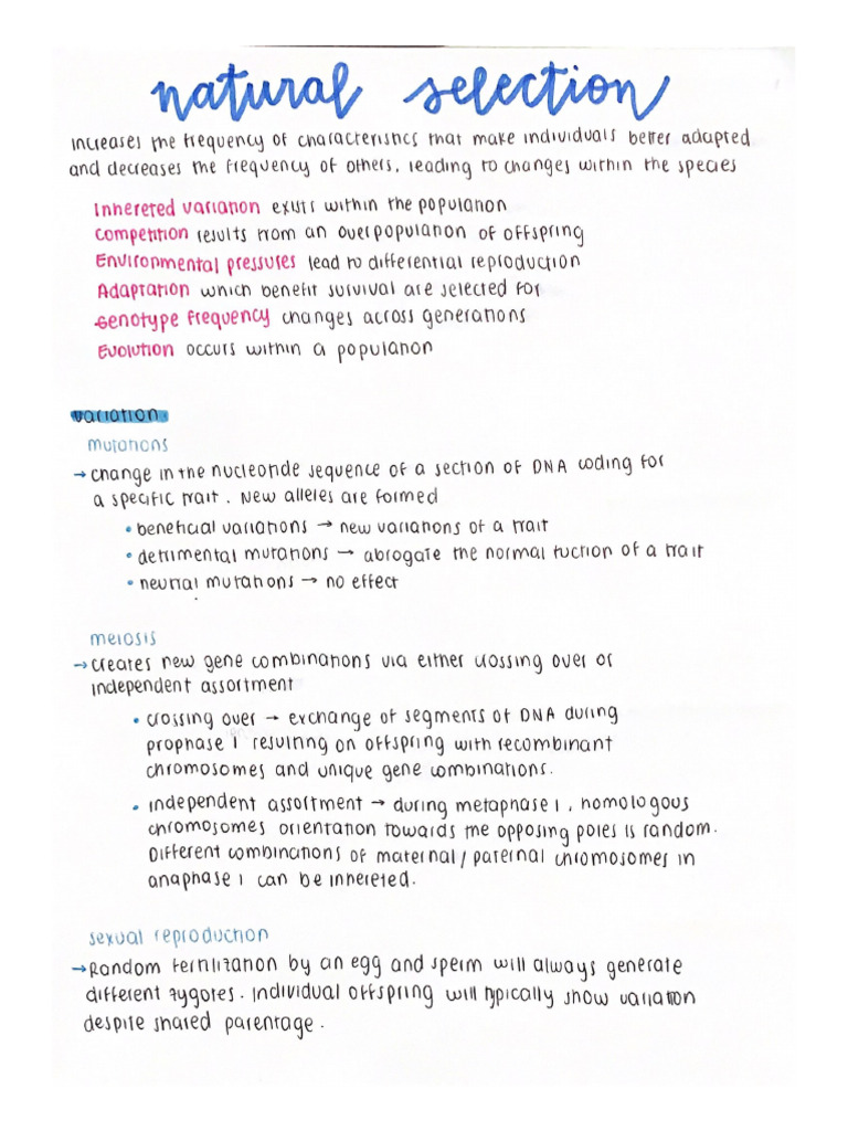 Natural Selection | PDF