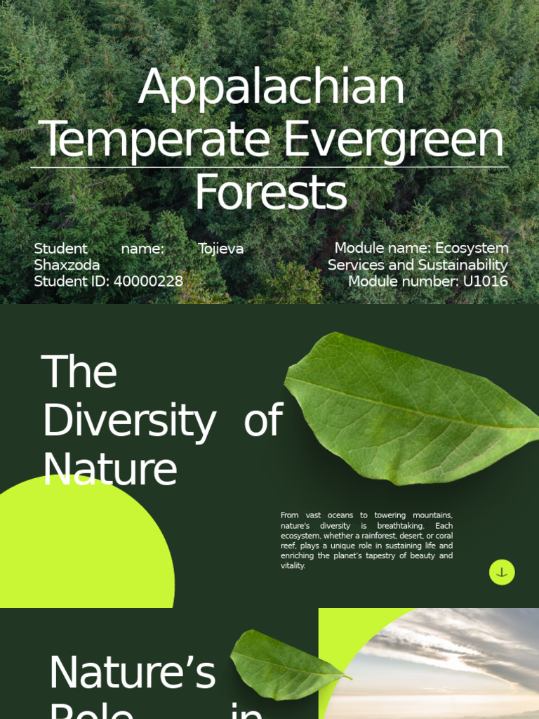 Ginyard International Co. | PDF | Nature | Biodiversity