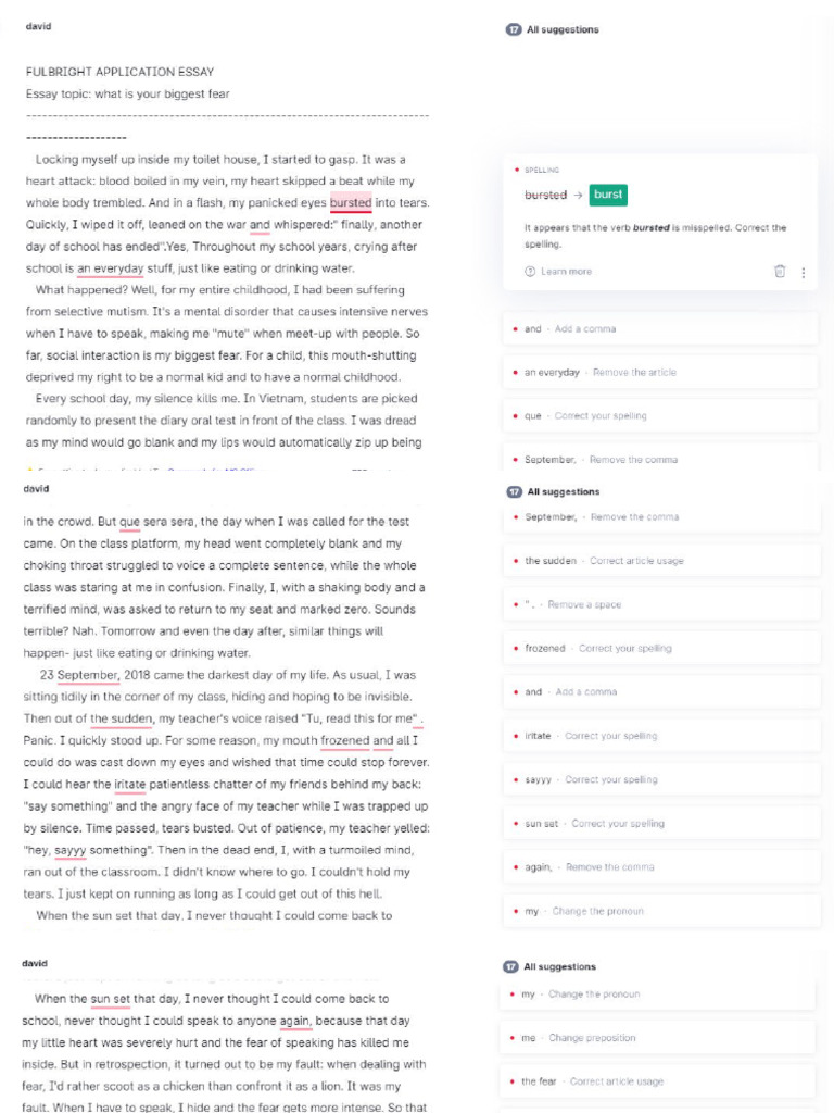 Essay Correction David | PDF