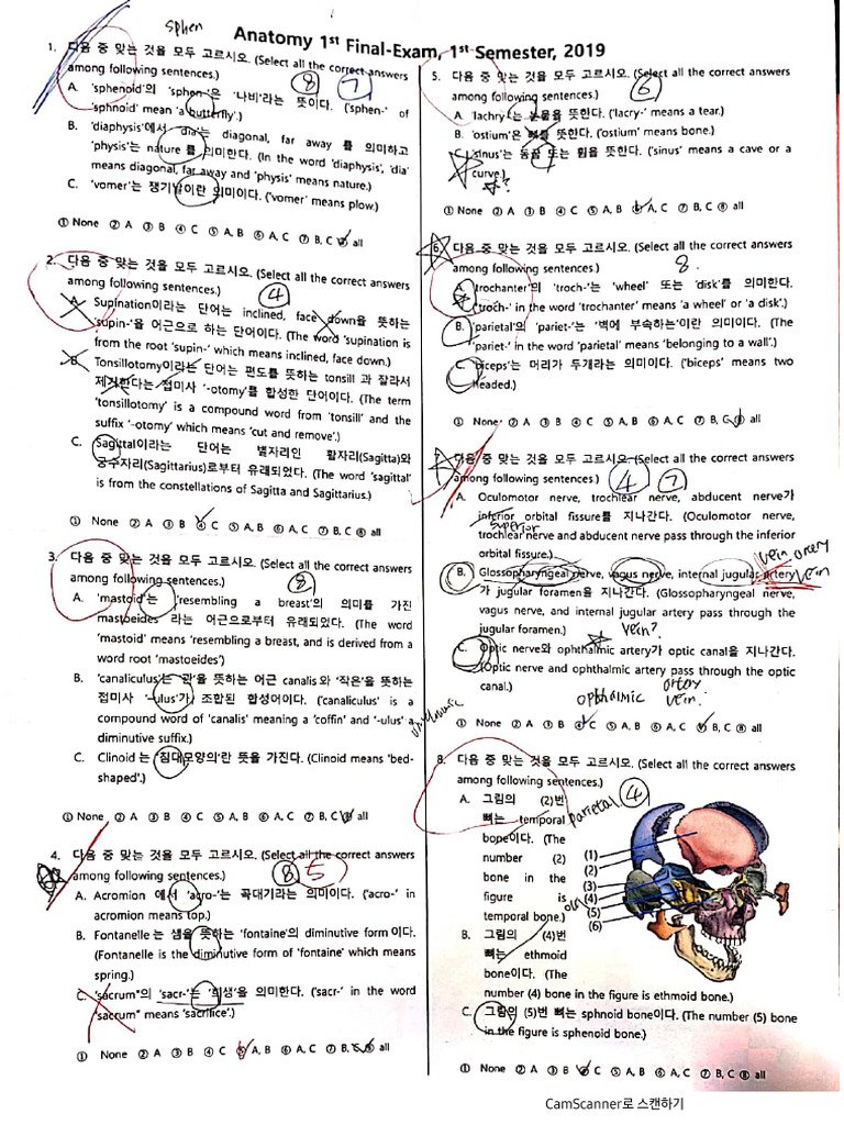 2019 Anatomy Final Exam | PDF