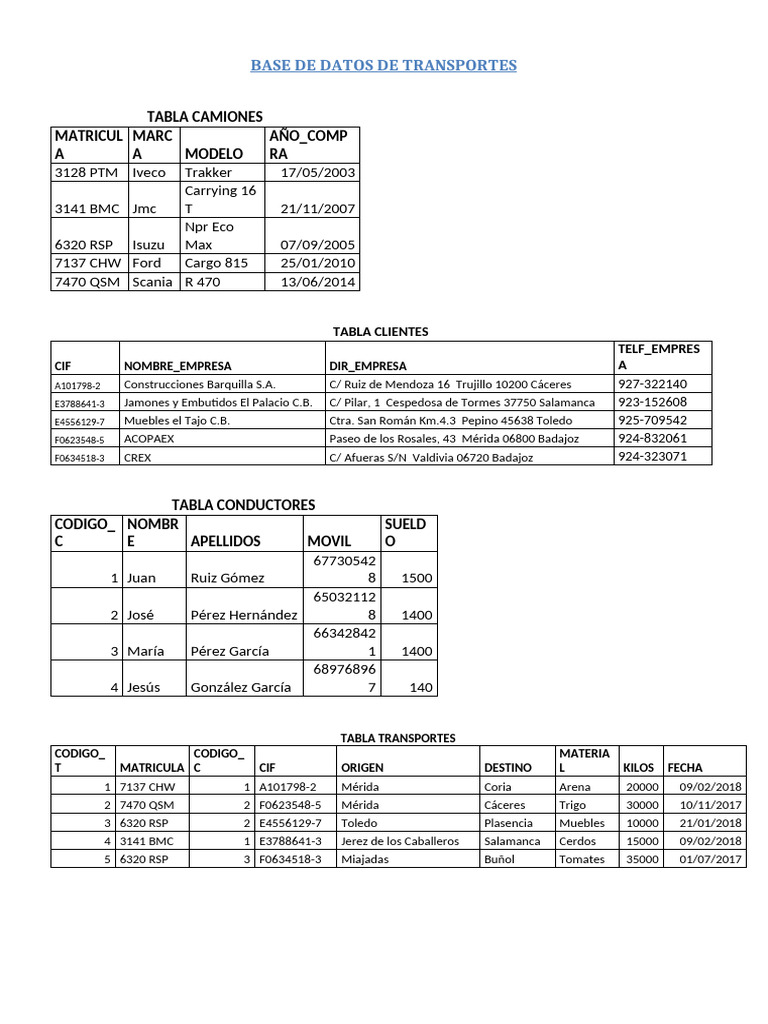 Base de Datos de Transporte en Excel | PDF