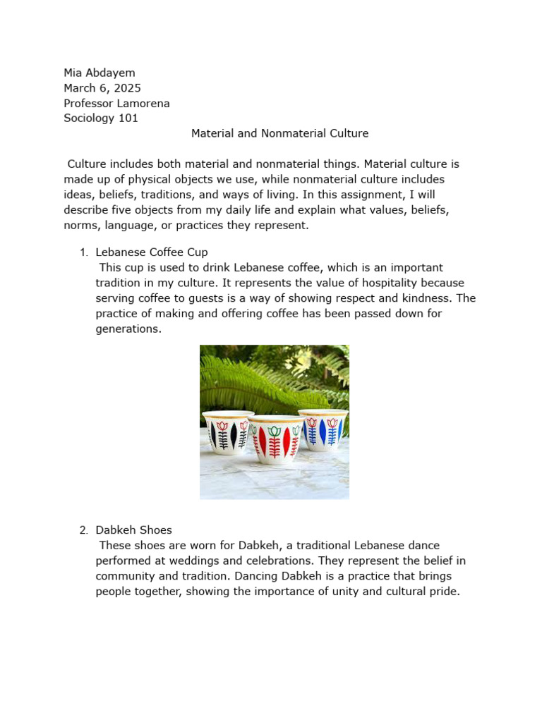 Material Vs Nonmaterial Culture | PDF | Traditions