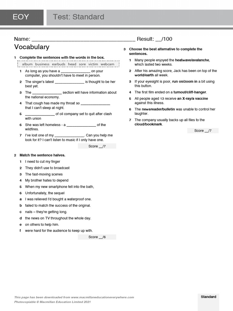 Standard EOY Test: Vocabulary & Grammar | PDF | Essays