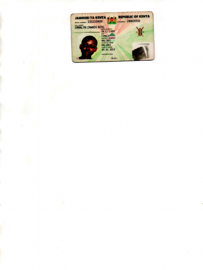 Emallyn 20240525 | PDF