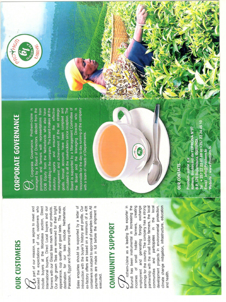 Prothem Brochure | PDF