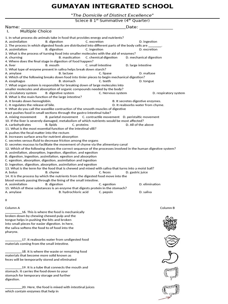 Science 8 Digestive System Quiz | PDF | Digestion | Stomach