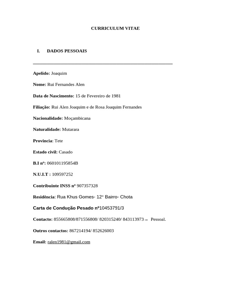CURRICULUM PORTUGUES RUI | PDF