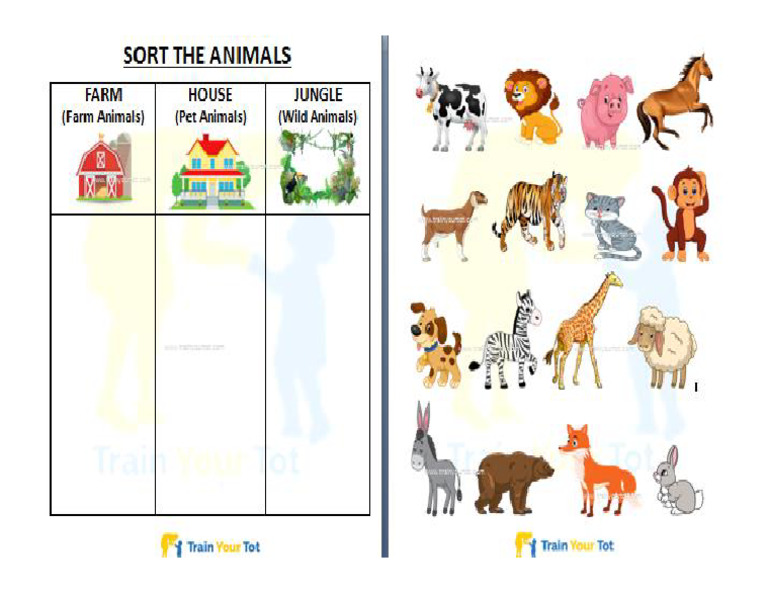 Animal Sorting | PDF
