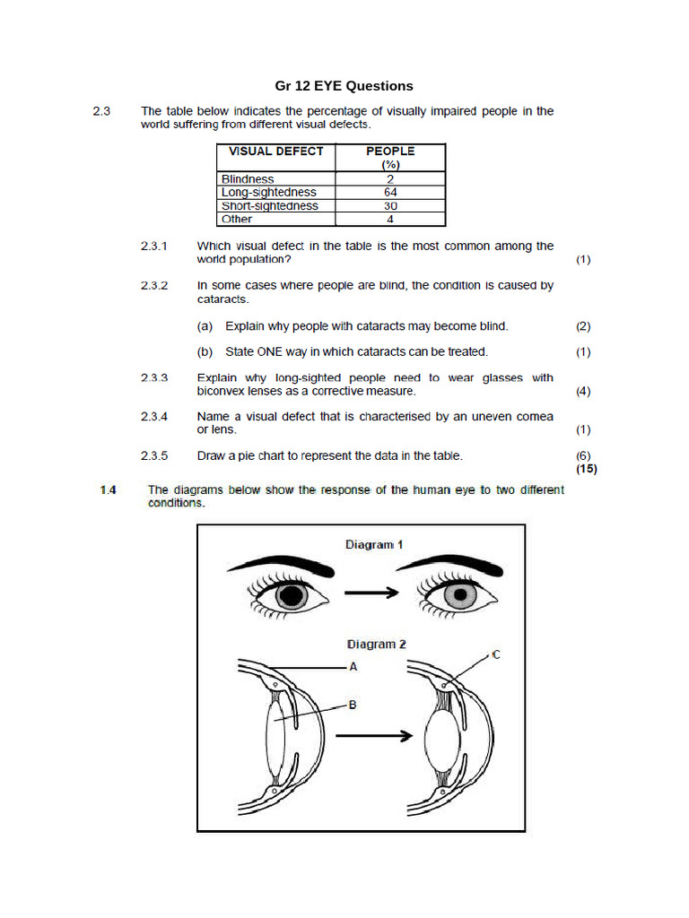6 GR 12 EYE Questions | PDF