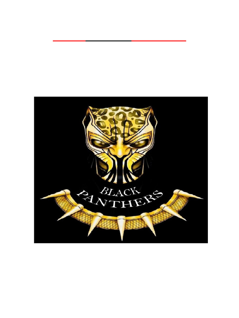 Black Panthers | PDF