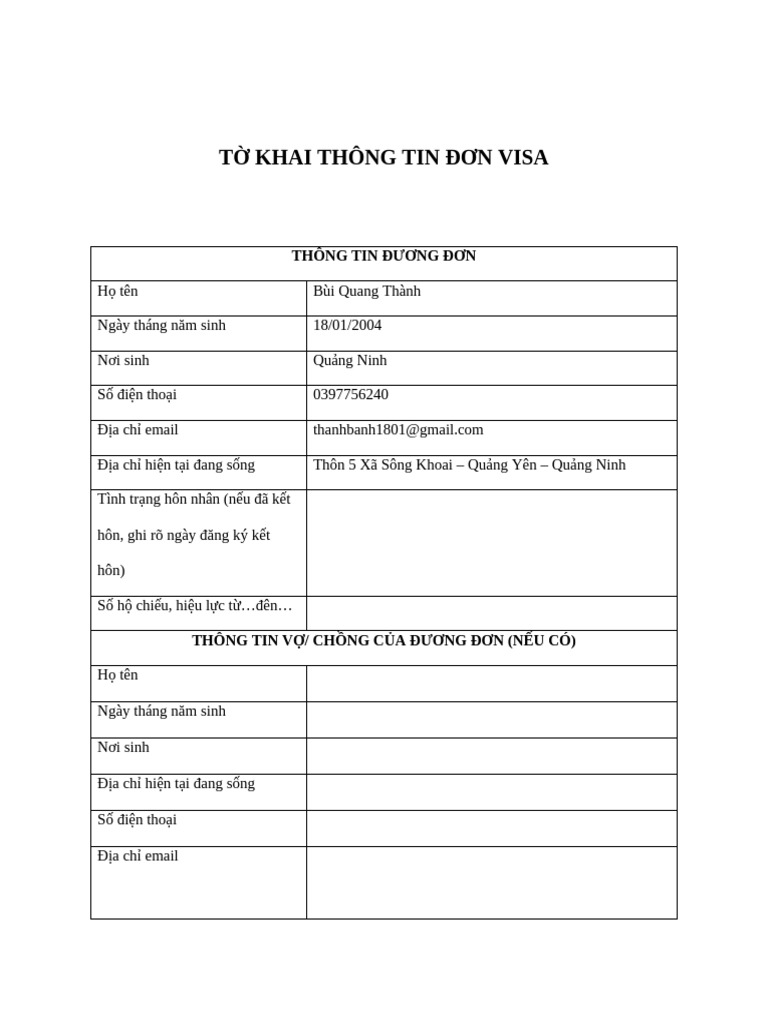 T KHAI THÔNG TIN ĐƠN VISA New World | PDF