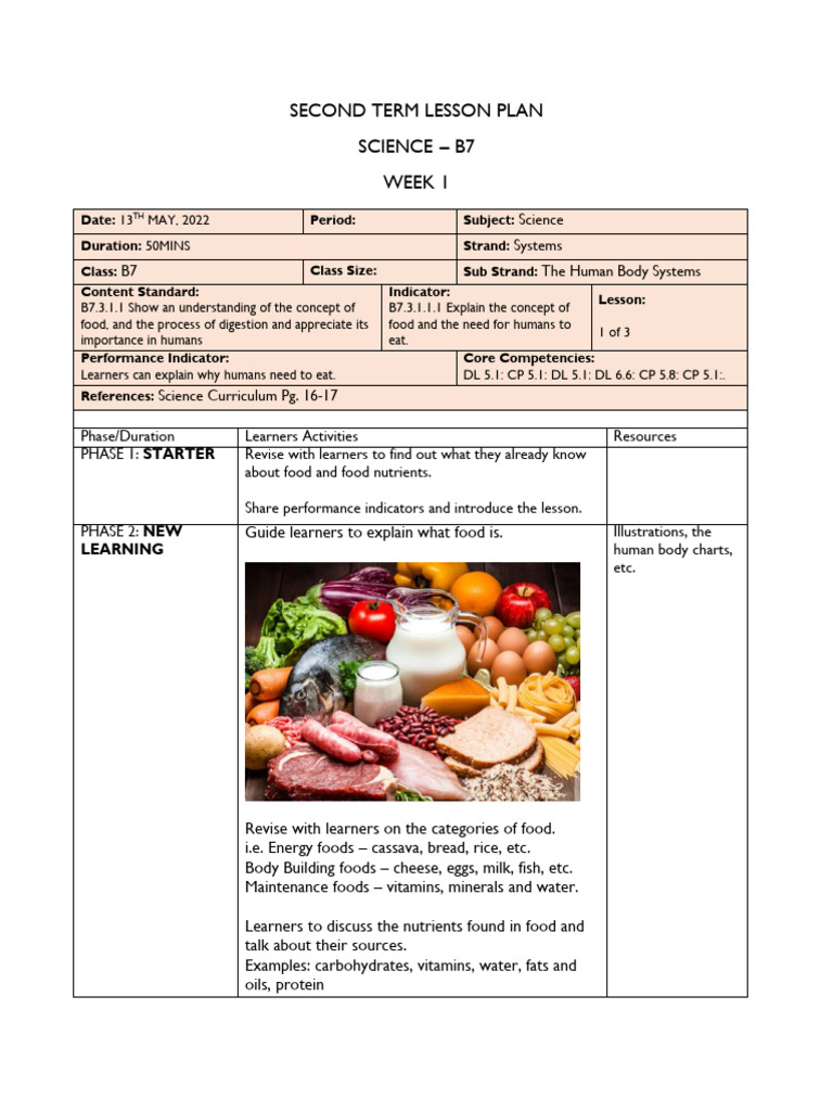 B7 Science All Term 2 Notes | PDF | Digestion | Crop Rotation