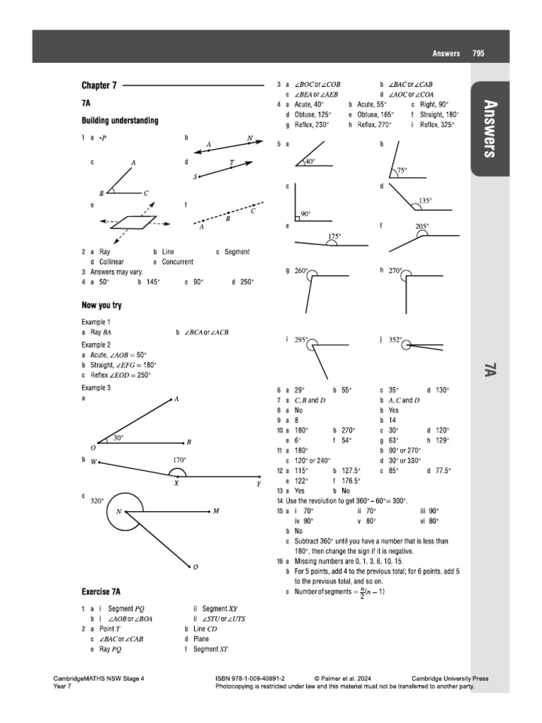 Cambridge Maths NSW YR & - Angle Relationships Answers | PDF