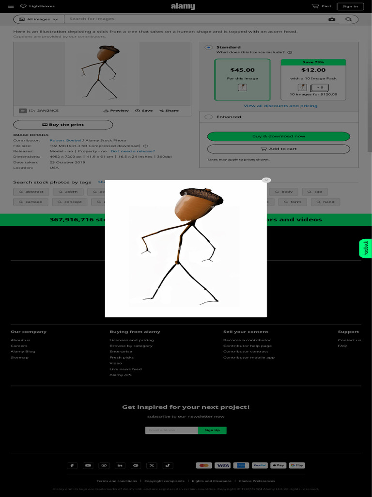 Here Is An Illustration Depicting A Stick From A Tree That Takes On A ...