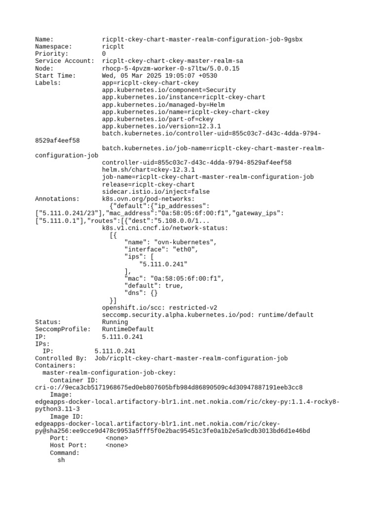Kube Describe Pod Ricplt Ricplt Ckey Chart Master Realm Configuration Job 9gsbx | PDF ...
