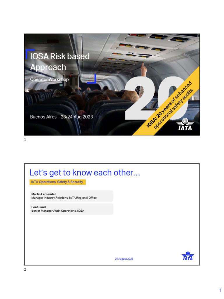 IOSA Risk-Based Audit Workshop Summary | PDF | Audit | Business