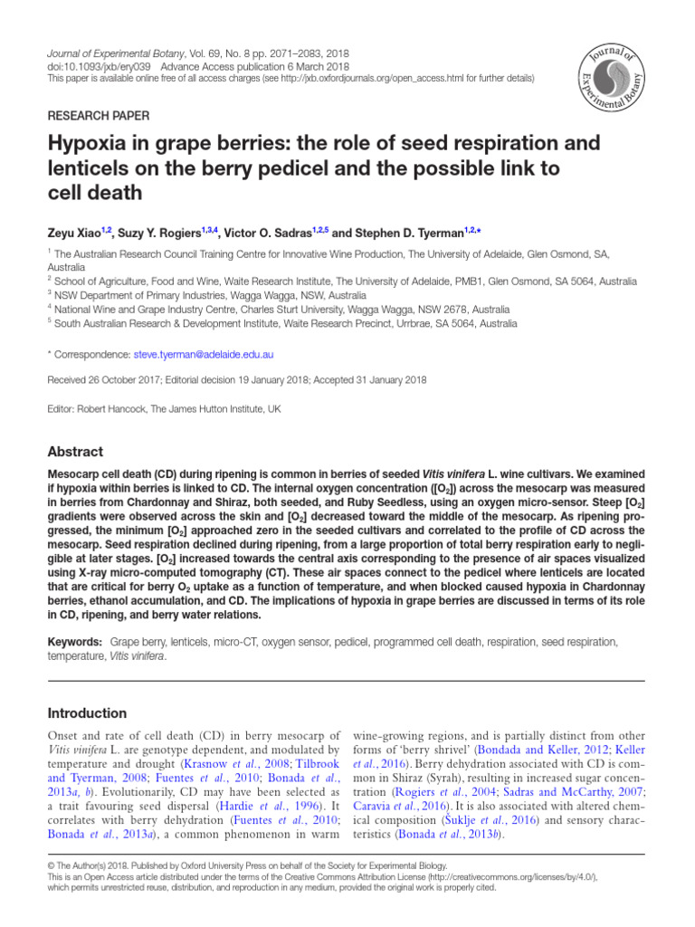 Hypoxia in Grape Berries The Role of Seed Respiration and Lenticels On ...