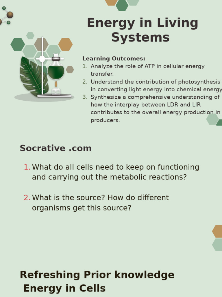 Energy in Living Systems | PDF | Photosynthesis | Cellular Processes