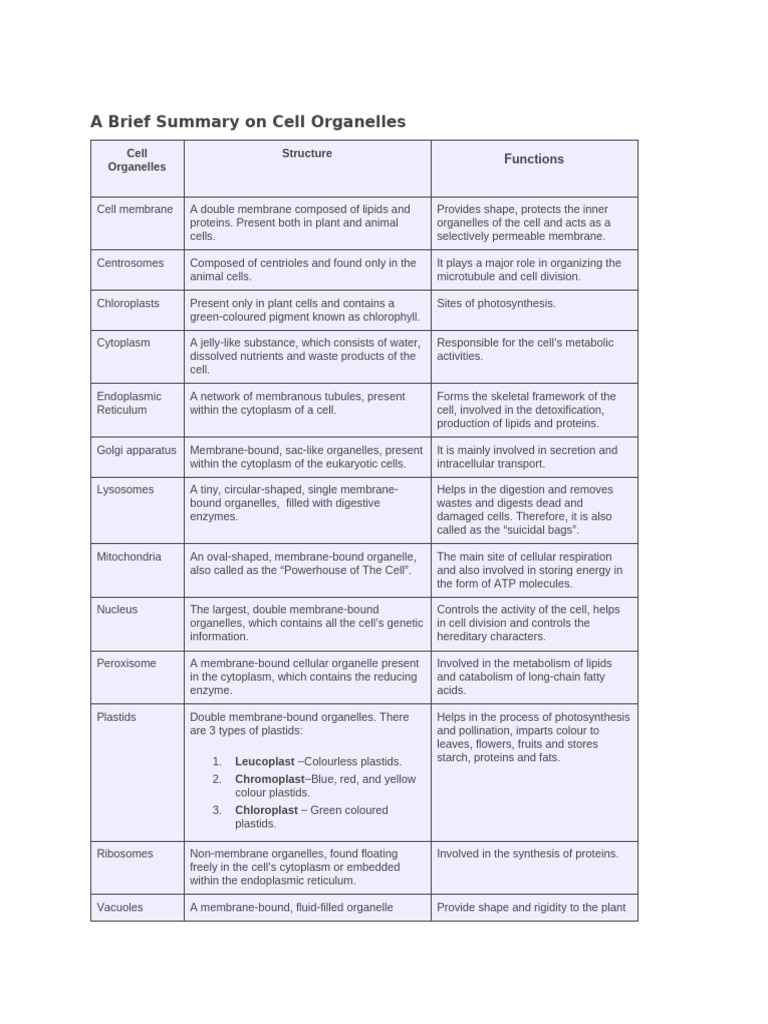 Summary of Cell Organelles | PDF | Cell (Biology) | Organelle
