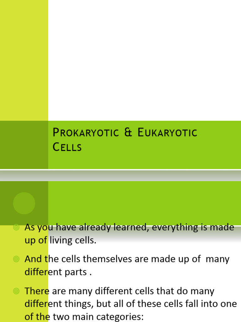 Prokaryotic vs Eukaryotic Cells Explained | PDF | Cell (Biology ...