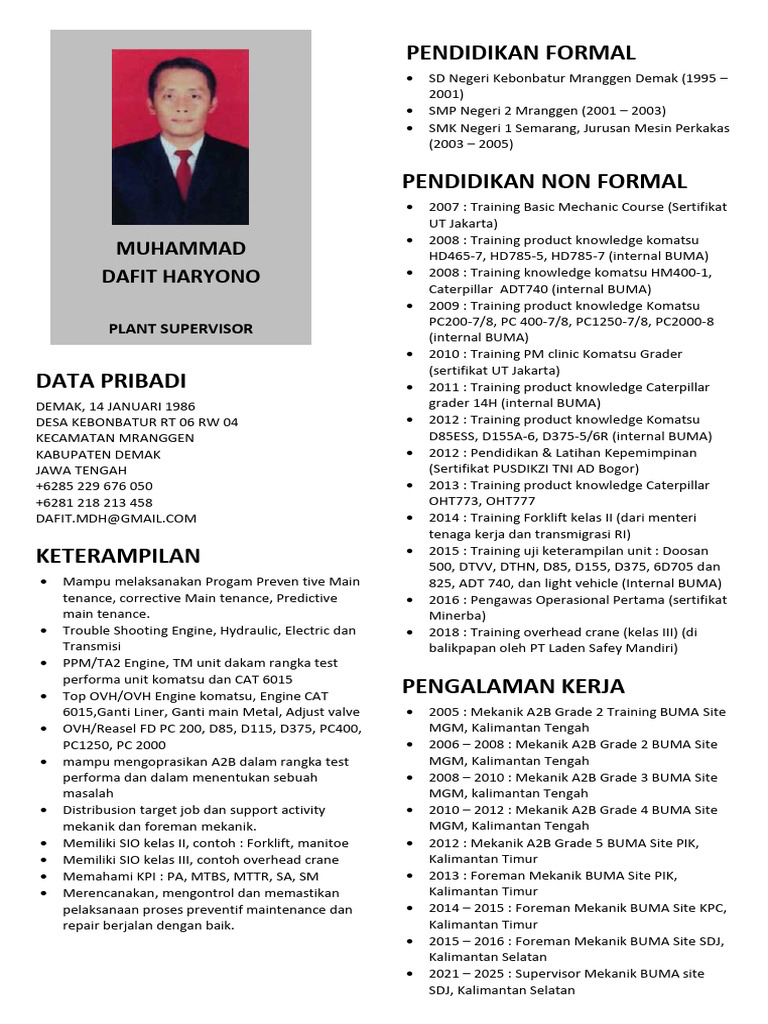 CV New MDH | PDF