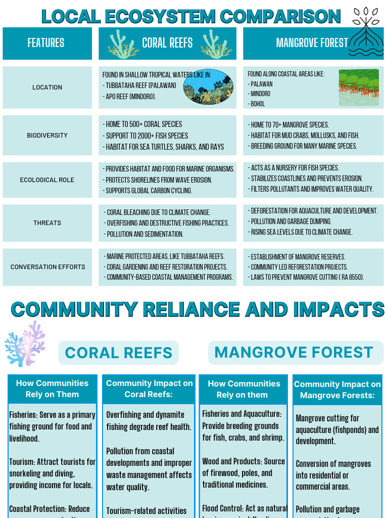Assignment 1 - 20241210 - 130952 - 0000 | PDF | Coral Reef | Coast