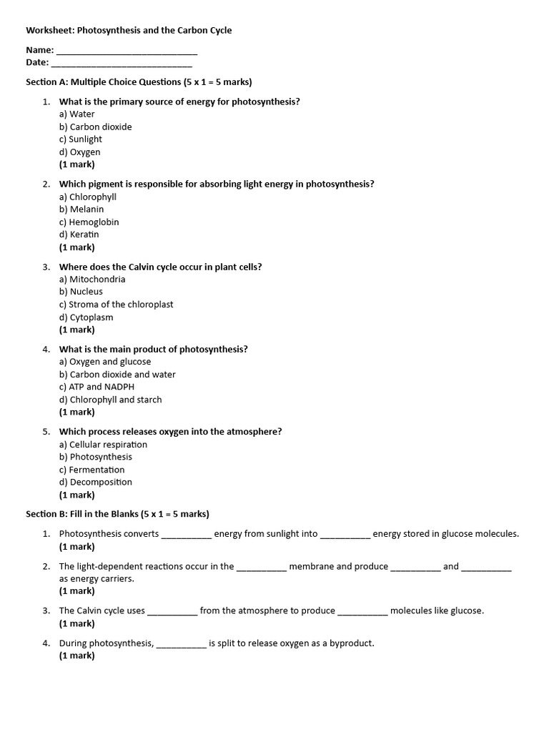 Science Revision Worksheet 1 - Photosynthesis and The Carbon Cycle ...
