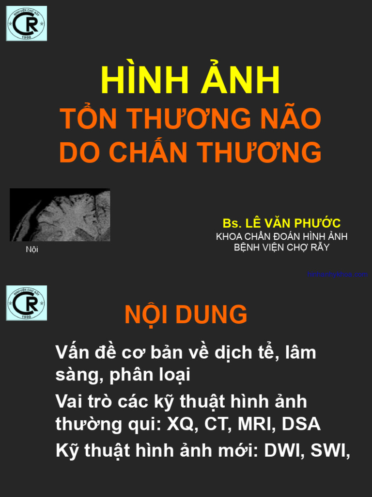 Hinh Anh Ton Thuong Nao Do Chan Thuong, Le Van Phuoc | PDF