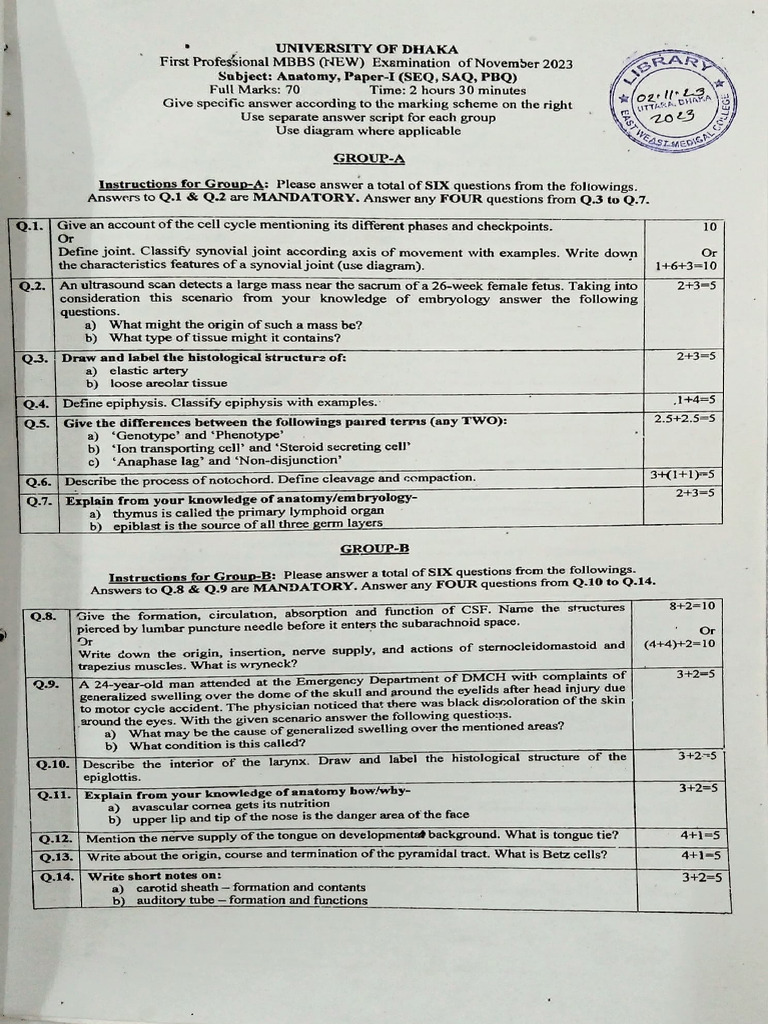 Anatomy Paper-I Exam November 2023 | PDF | Vertebra | Common Carotid Artery