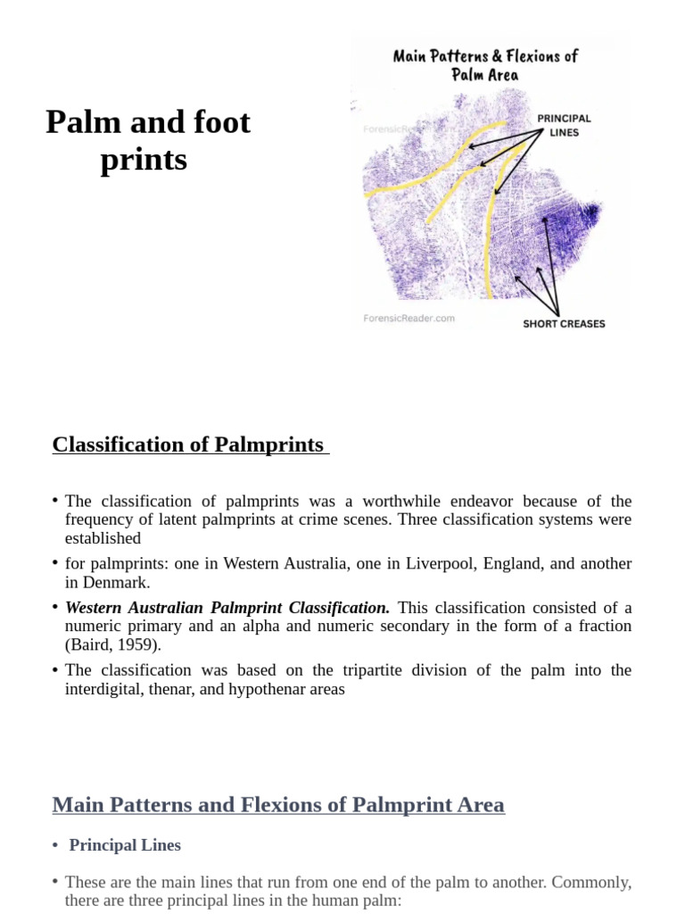 Hypothenar Palm Print Classification Systems | PDF | Fingerprint | Hand