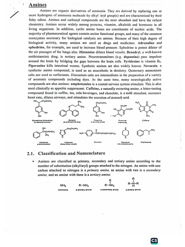 Amines | PDF