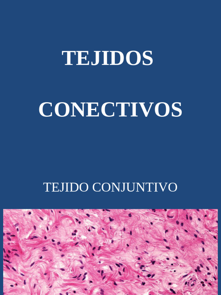 Tejidos Conectivos | PDF