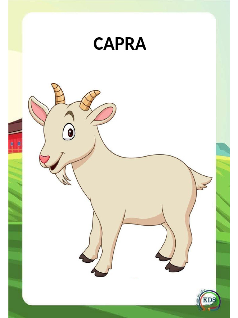 DDDDDD | PDF