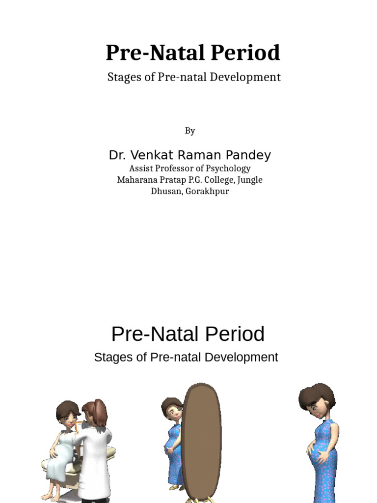 Stages of Pre-natal Development- 20 | PDF | Embryo | Fetus