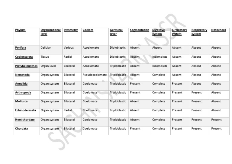 Animal Phyla Characteristics Chart | PDF