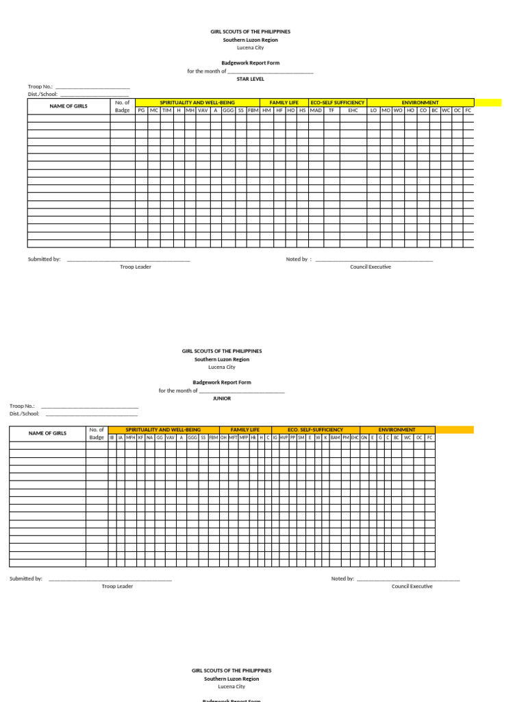 Revise Badgework Form 3.xlsx2020 2 | PDF