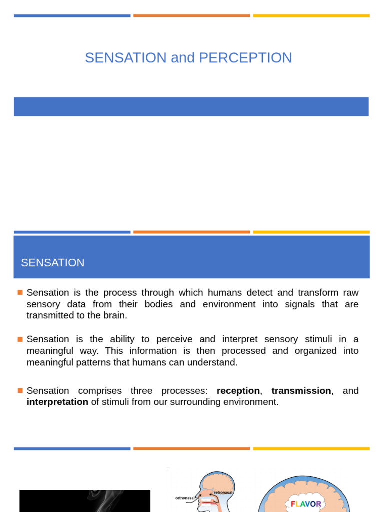 Ch02 - Sensation and Perception | PDF | Senses | Perception