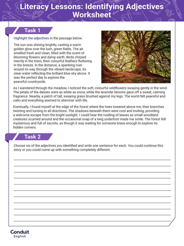 Cfe e 1740395763 Literacy Lessons Identifying Adjectives Worksheet ...