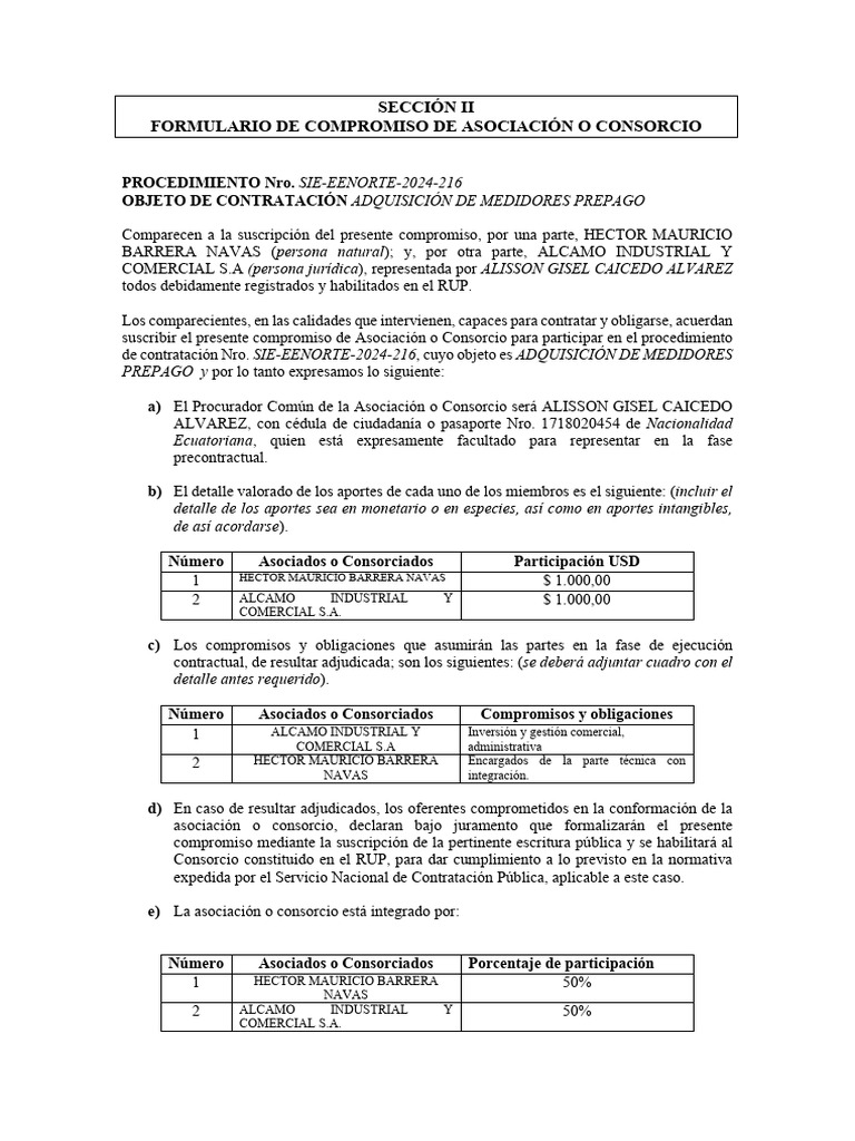 Formulario de Compromiso Asociación o Consorcio | PDF | Consorcio