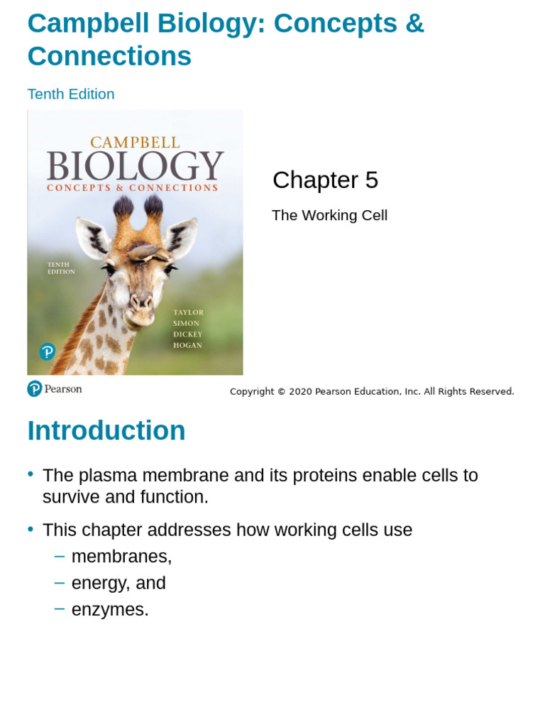 Chapter 5 Cell Membrane | PDF | Cell Membrane | Enzyme