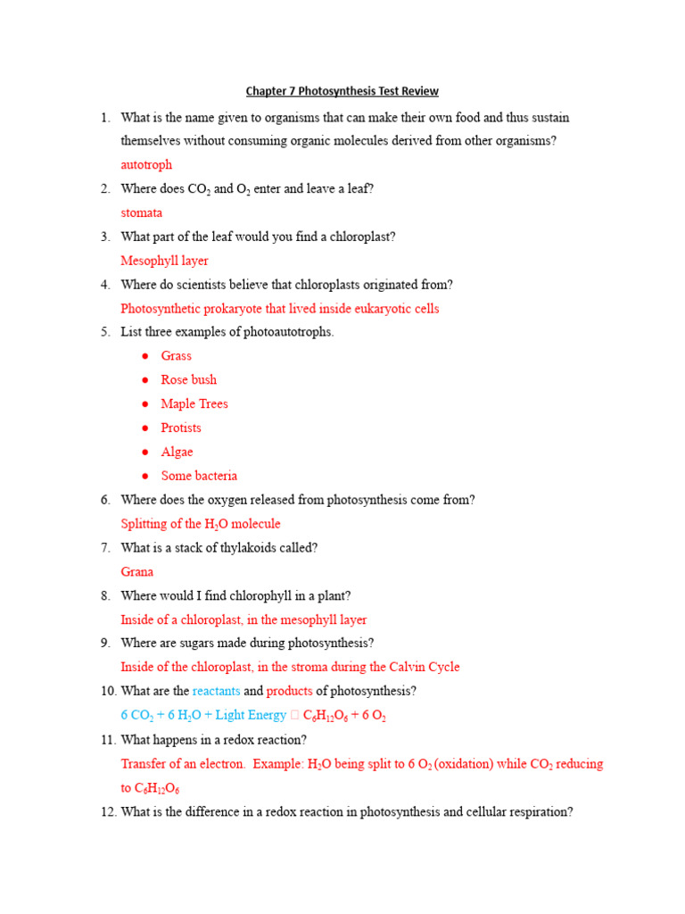 Chapter 7 Photosynthesis Test Review | PDF | Photosynthesis | Chloroplast