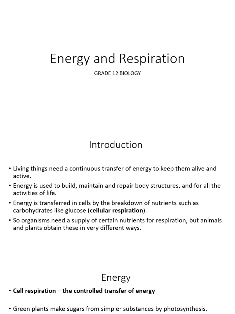 Energy Transfer in Cellular Respiration | PDF | Cellular Respiration ...
