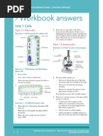 Lower Secondary Science 8 Workbook Answers | PDF