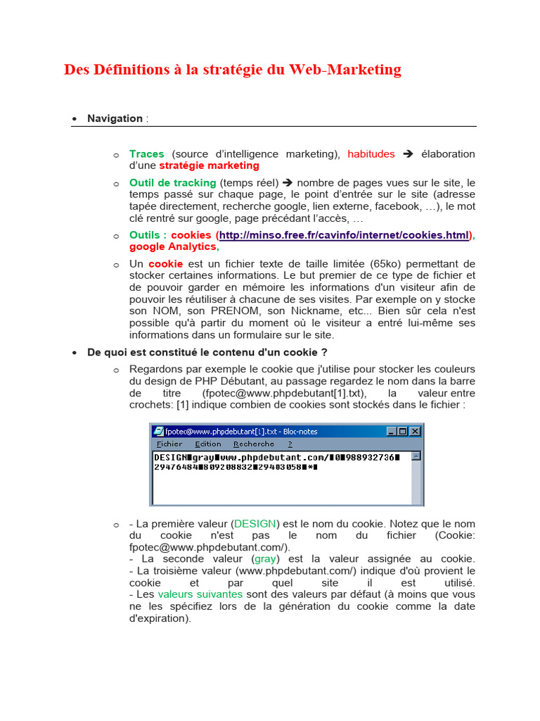 Diapo 3 - Des Définitions E-Marketing À La Stratégie Du Web | PDF | Cookie (informatique ...