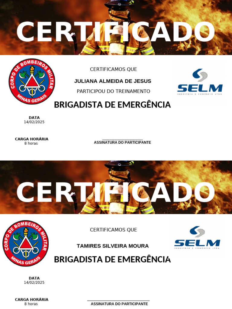 Certificado Brigada de Incêndio-2025 | PDF